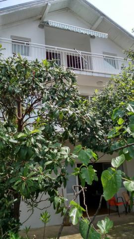 Apartments Crikvenica - Apartment Alida | Direct-Croatia.com