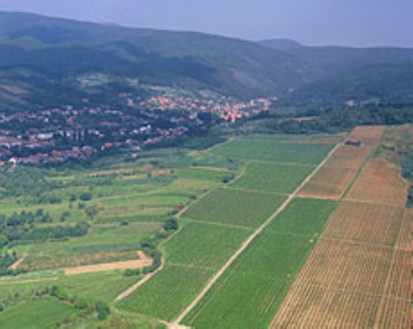 Apartments in Staro Petrovo selo | Direct-Croatia.com