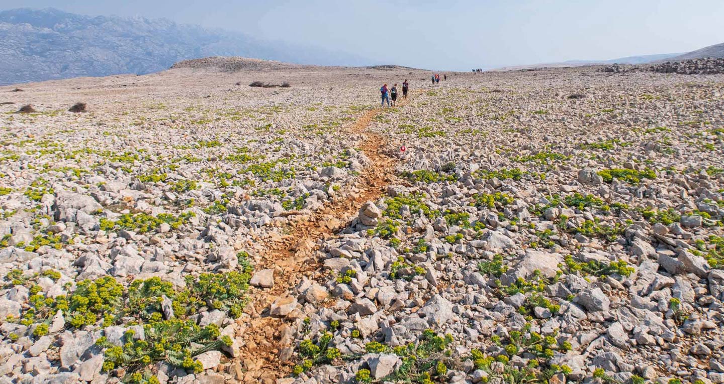 Life on Mars Trail on Pag accommodation and apartments nearby | Direct ...