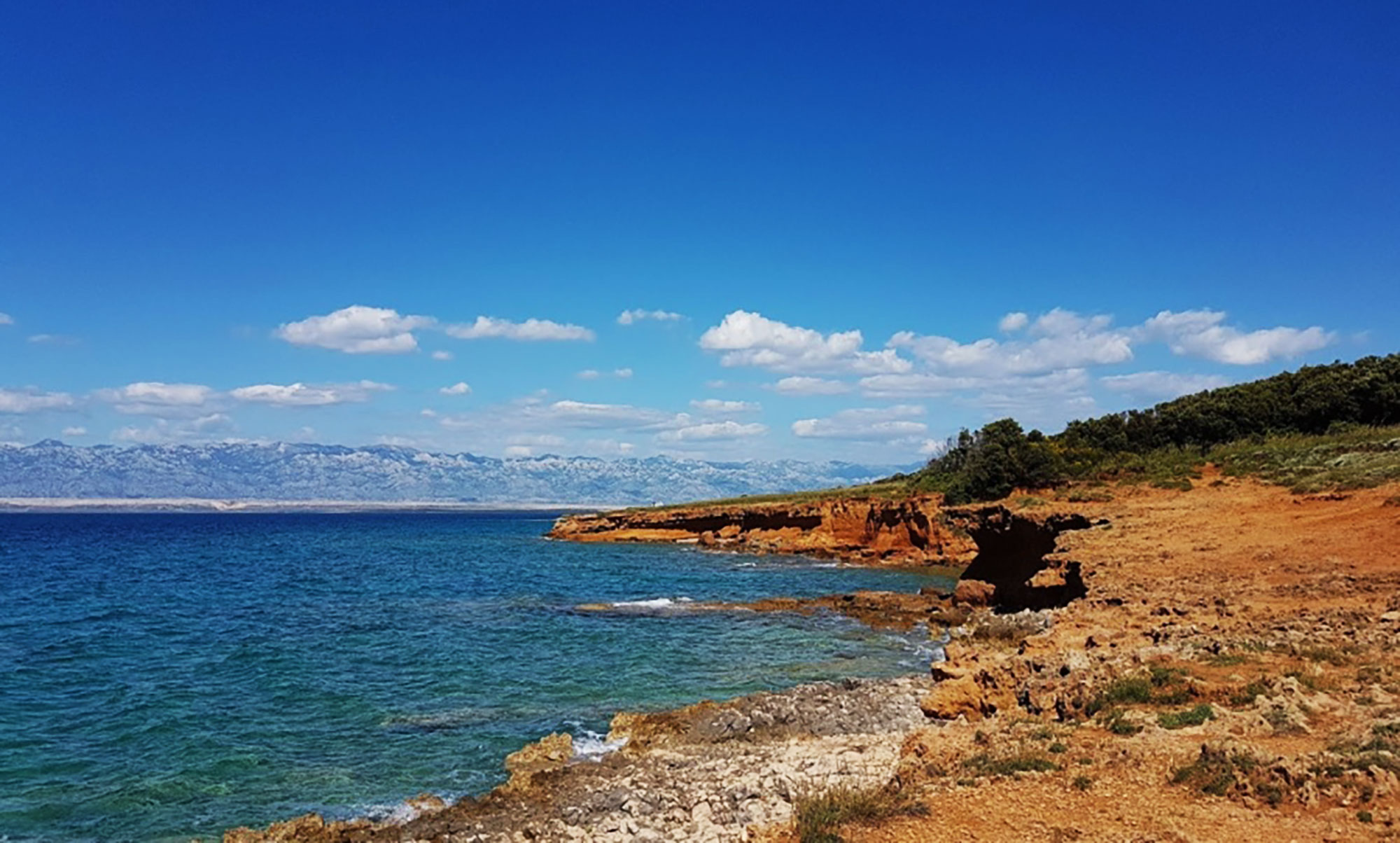 Crvenka beach on Vir accommodation and apartments nearby | Direct ...