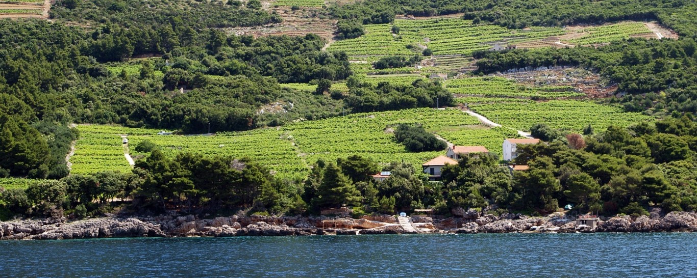 Dingac beach Potomje accommodation and apartments nearby | Direct ...