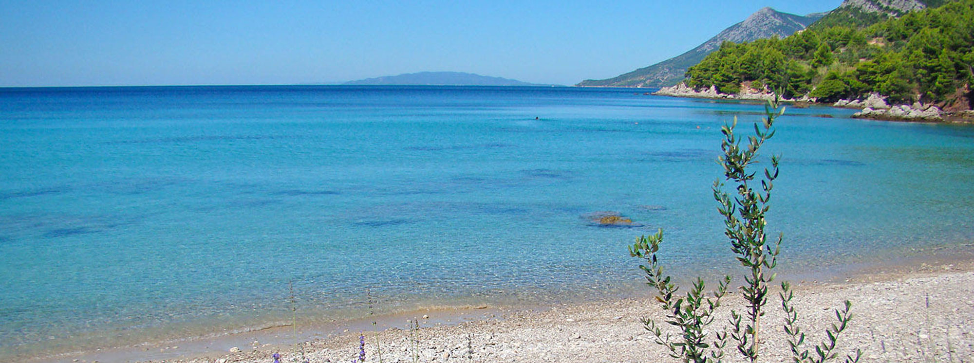 Kremena beach on Pelješac accommodation and apartments nearby | Direct ...