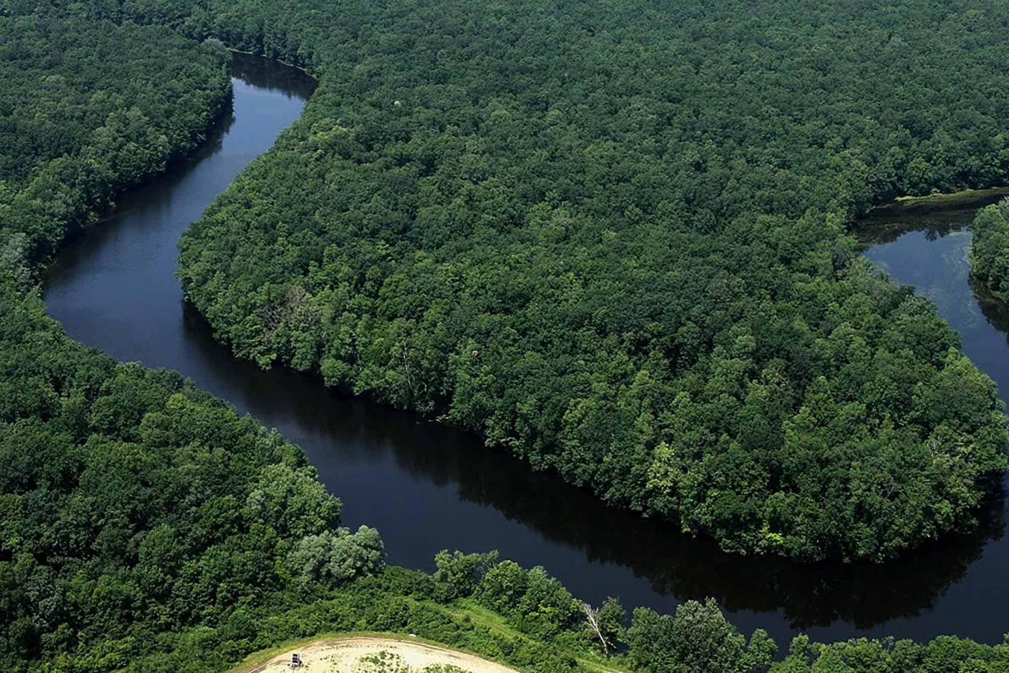 Spačva Forest accommodation and apartments nearby | Direct-Croatia.com